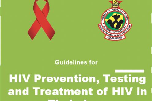Guidelines for HIV Prevention, Testing, and Treatment of HIV in ...
